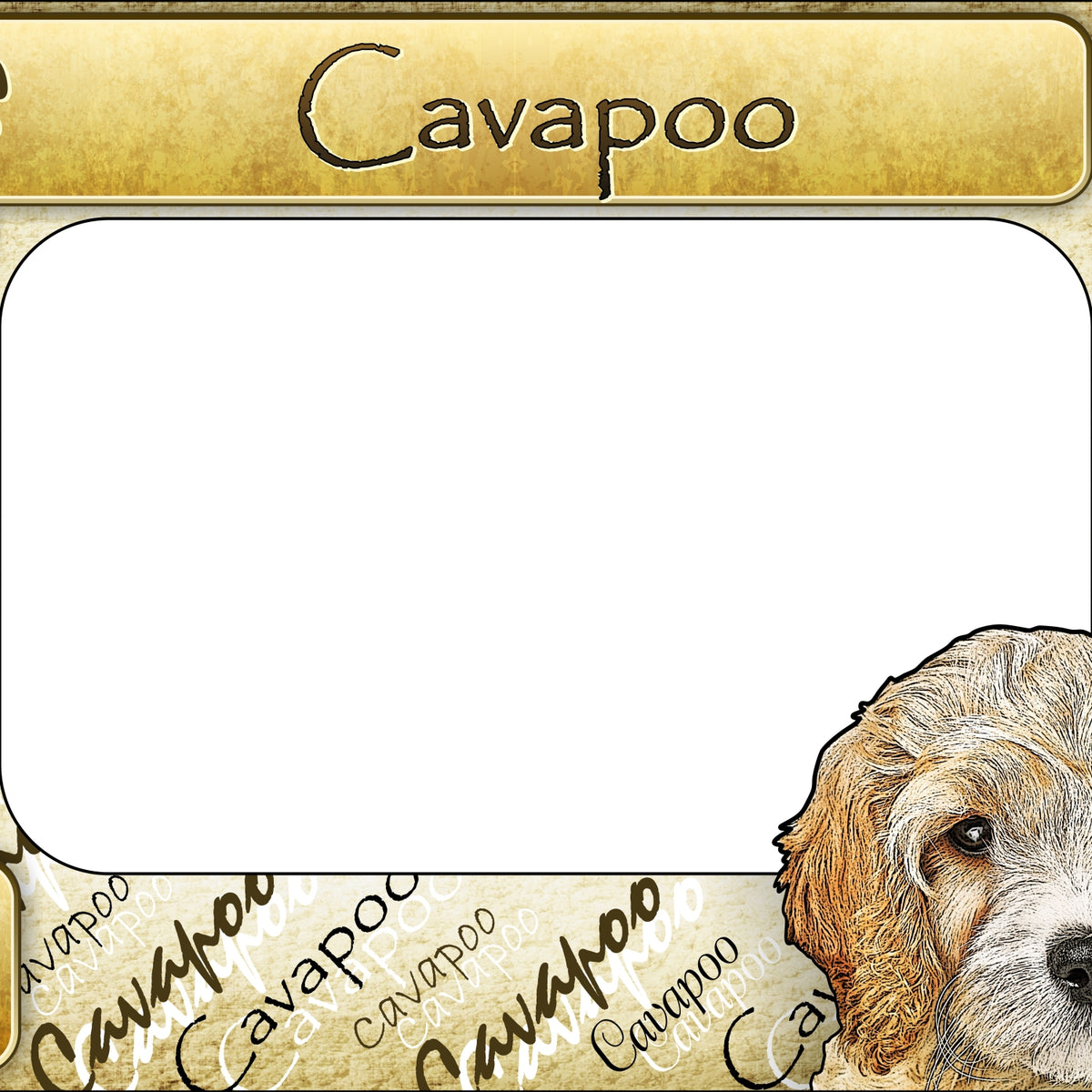Custom Magnetic Matte, Pet Picture Frames for Cavapoo – GiftWorksPlus