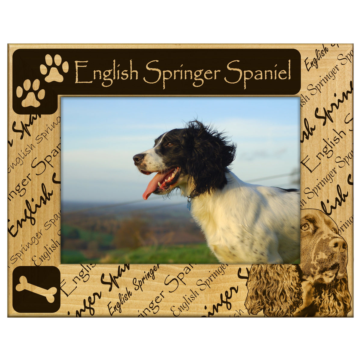 Engraved Alderwood Frame - A-FRM_-19-0075 - English Springer Spaniel ...