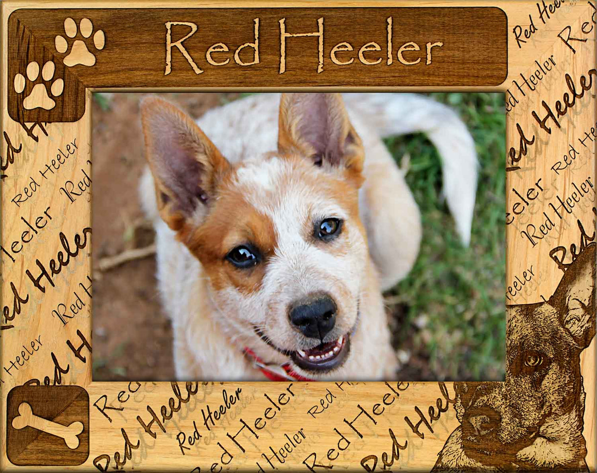 Red Heeler Animal Picture Frame, Alderwood Frames for Red Heelers ...