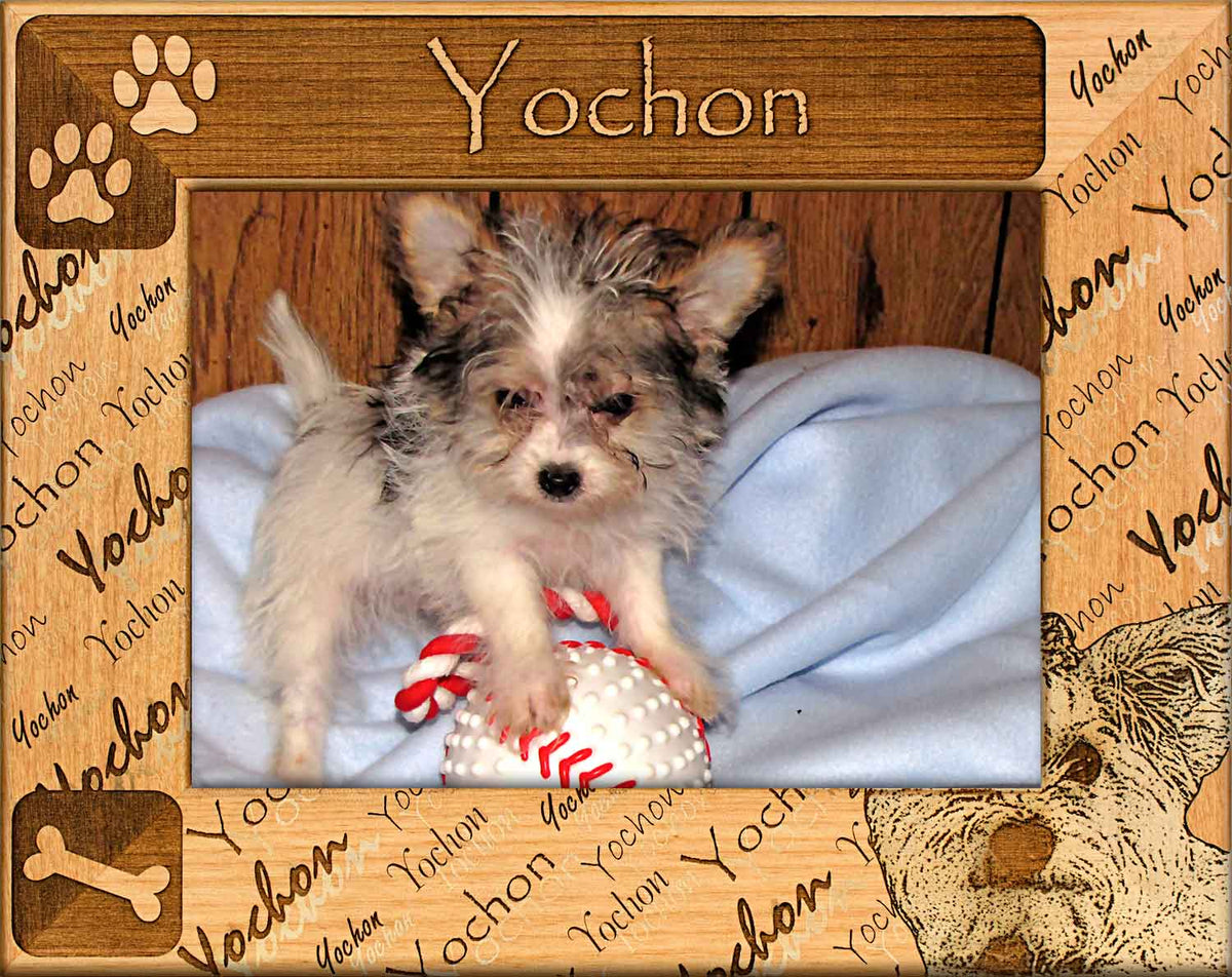 Yochon Dog Picture Frame, Alderwood Frames for Yochons – GiftWorksPlus
