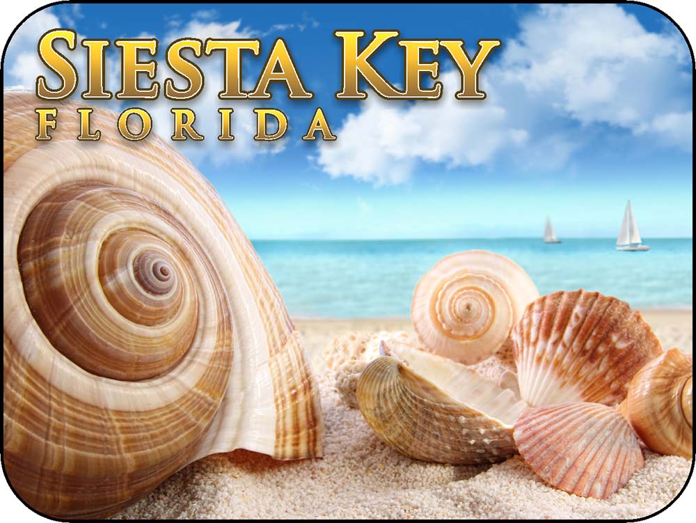 Siesta Key Florida Shells & Ships – GiftWorksPlus